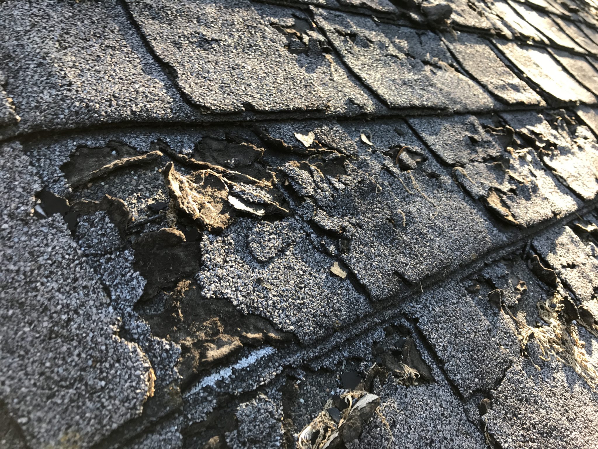 How do you know when to replace your shingle roof? - Roof Top Services LLC